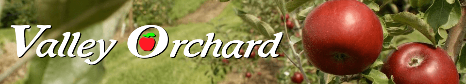The Valley Orchard – 35 Acre Family-Owned Apple Orchard